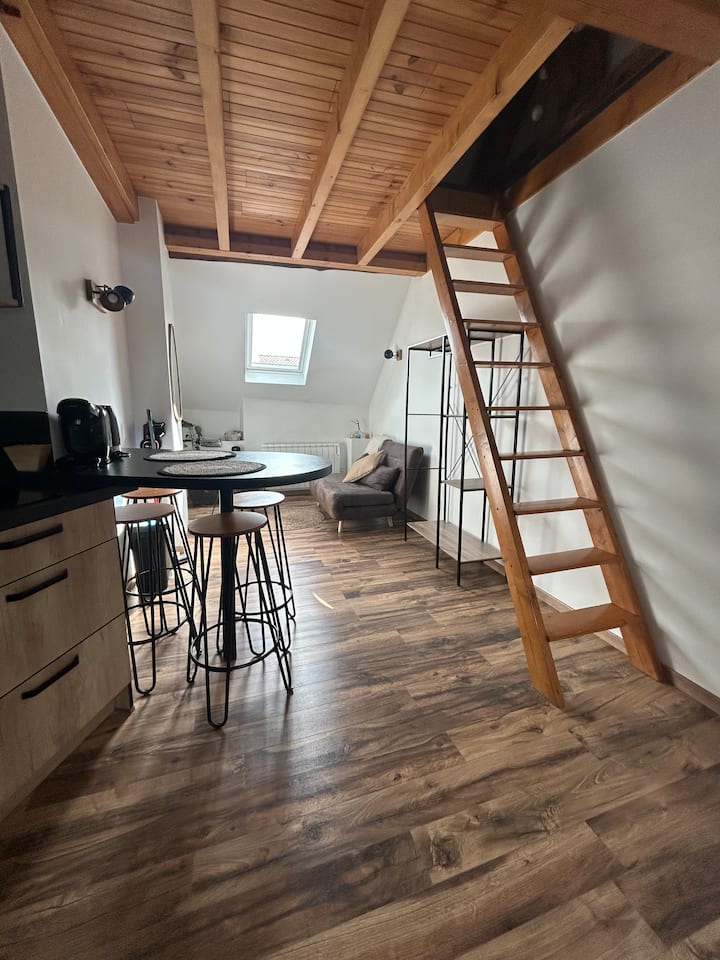 ⭐️Gap Hyper Centre ⭐️Studio Atypique 2 Personnes - Gap