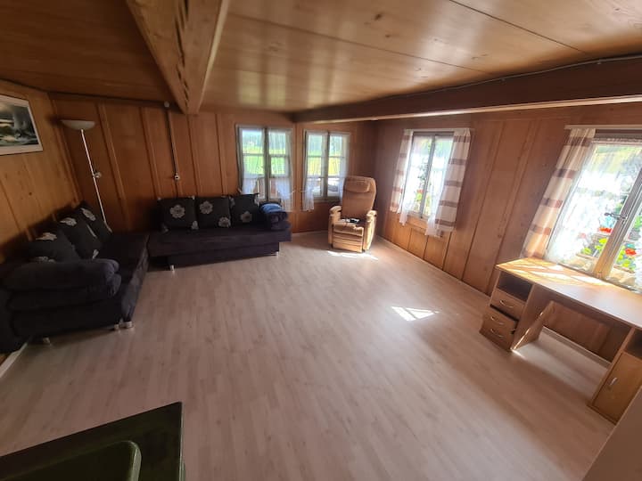 Ruhige, Abgelegene Grosszügige Wohnung Mit Charme - Suisse