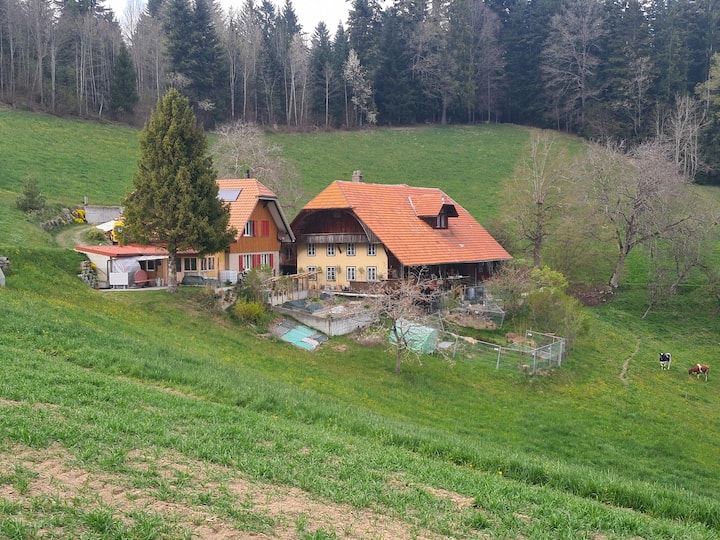 Ruhige, Abgelegene Grosszügige Wohnung Mit Charme - Suisse