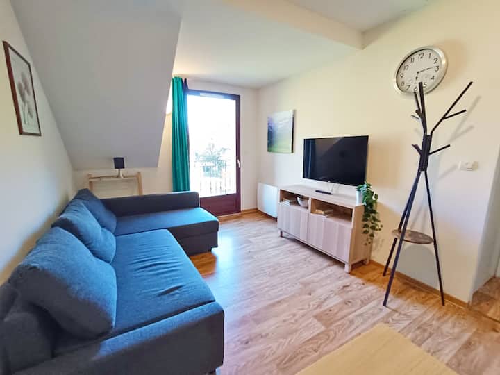 Le Flocon - Wifi - Parking - Vue Montagne - Bagnères-de-Luchon