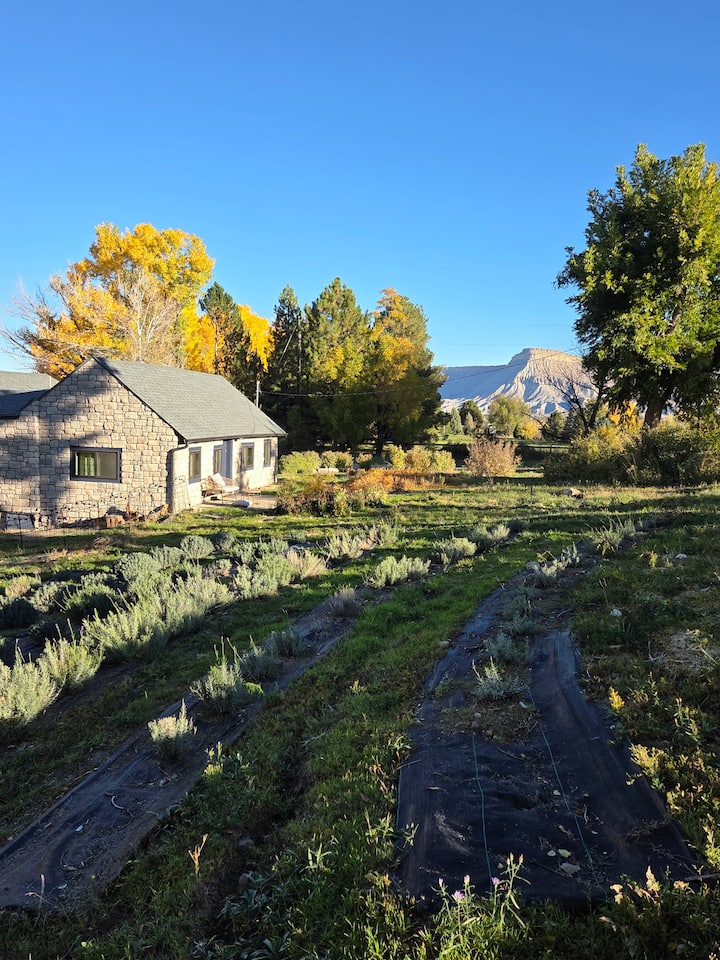 Roost Cottage • Lavender Farm Stay • Wine Country - Palisade, CO