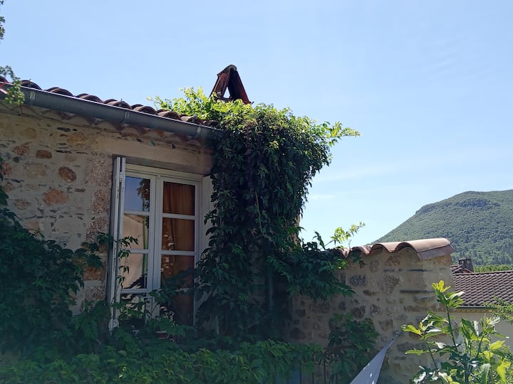 Cévennesgîte Vue Montagne
Slow Tourisme Vélos /Dog - Le Vigan