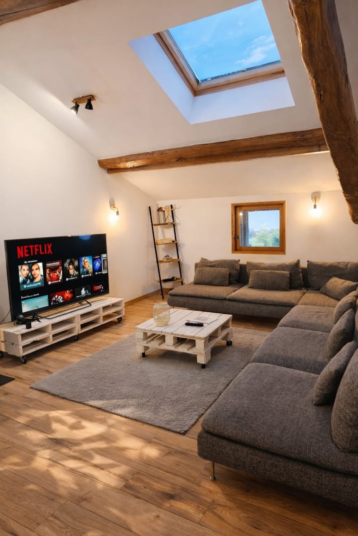 Superbe Appartement Rénové Au Cœur Des Dombes - Parc des Oiseaux de Villars-les-Dombes