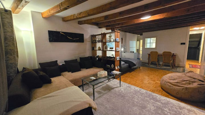 Charmant Petit Appartement - Lausanne