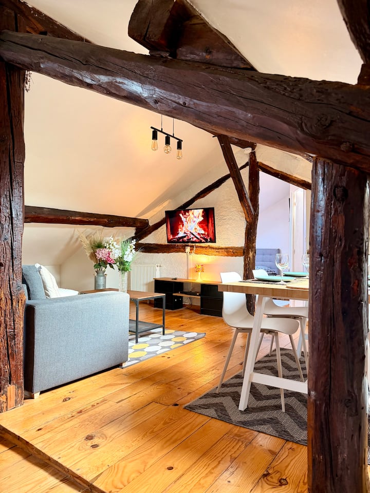 Chalon-sur-saône: Cosy Appartement En Centre-ville - Chalon-sur-Saône