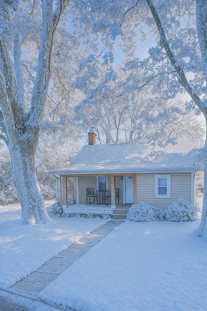 Charming Plx Cottage-lake View - Portage Lakes, OH