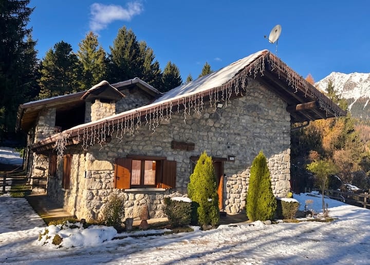 Cabin Surrounded By Nature + Relax & Grill - Borno