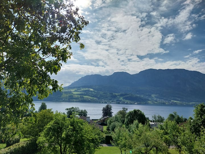 Ferienwohnung Mit Seeblick&badeplatz Am Bauernhof1 - Attersee