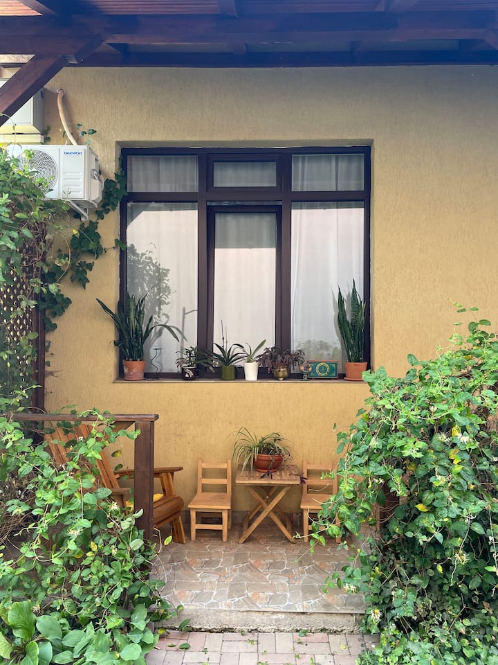 Central Perk Apartment - Oradea