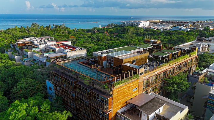 Artistic 2br Condo On 38th St W Rooftop Ocean View - Playa del Carmen