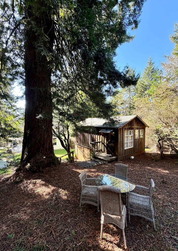Redwood Hideaway | Private Patio | Fast Wifi - Arcata, CA