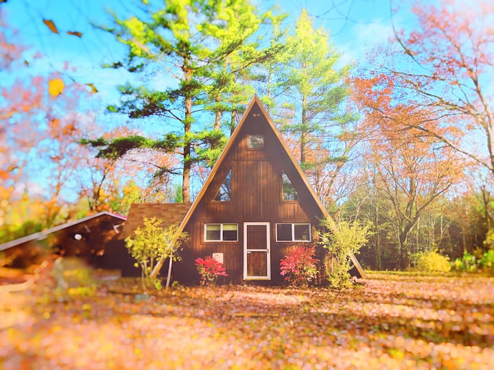 The Woodmoor Cabin • Log A-frame & Bunkhouse - Hesperia, MI