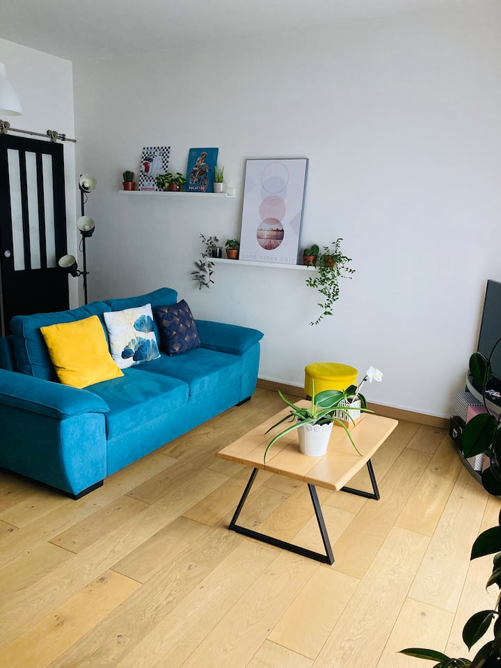 Appart Cosy à 500m Du Stade Pierre Mauroy - Villeneuve-d'Ascq