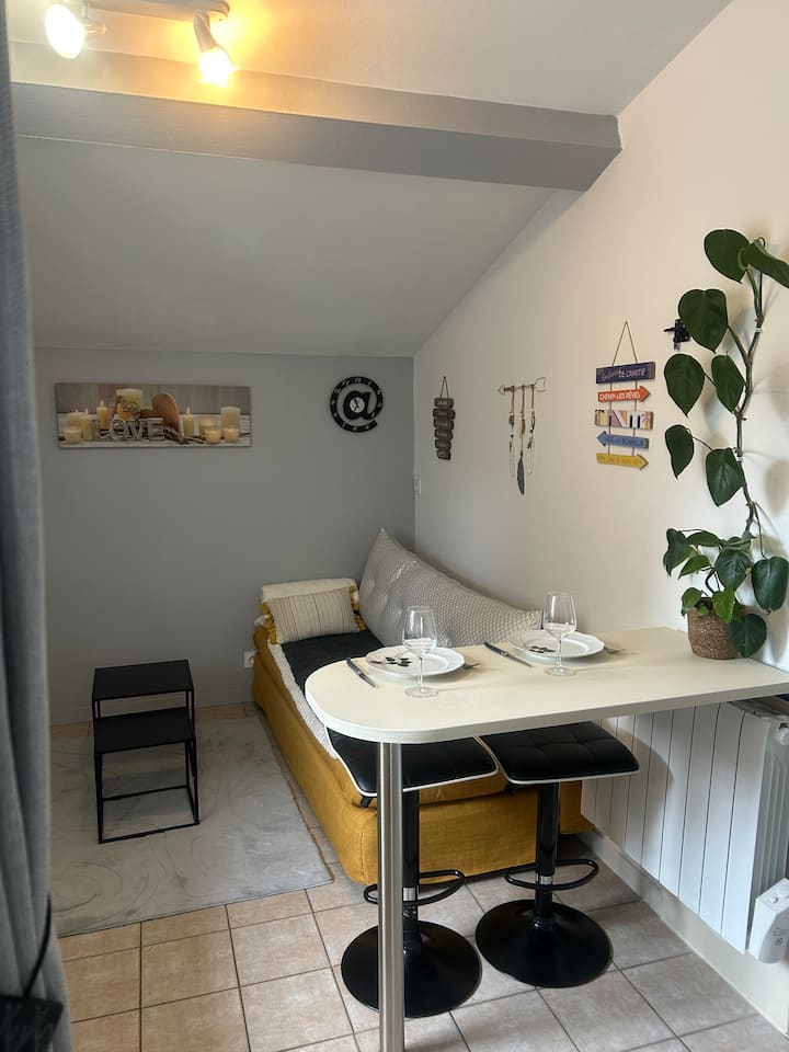 Petit Nid 2-3 Pers, Plain-pied, 5 Min De La Grotte - Lourdes