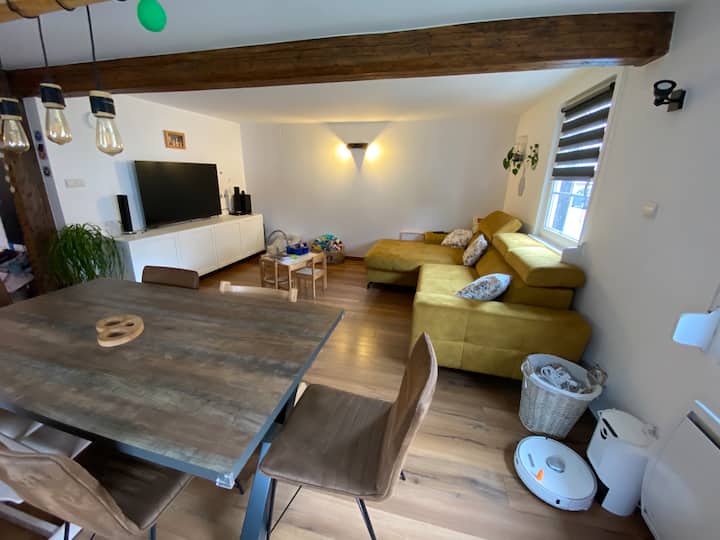 Maison Alsacienne Proche De Strasbourg - Bischwiller