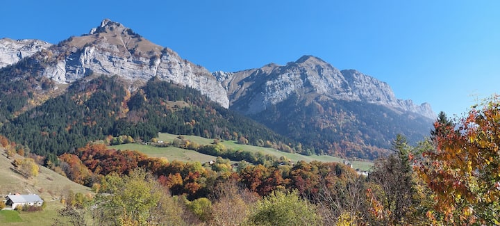 Studio Avec Vue Montagne - Talloires-Montmin
