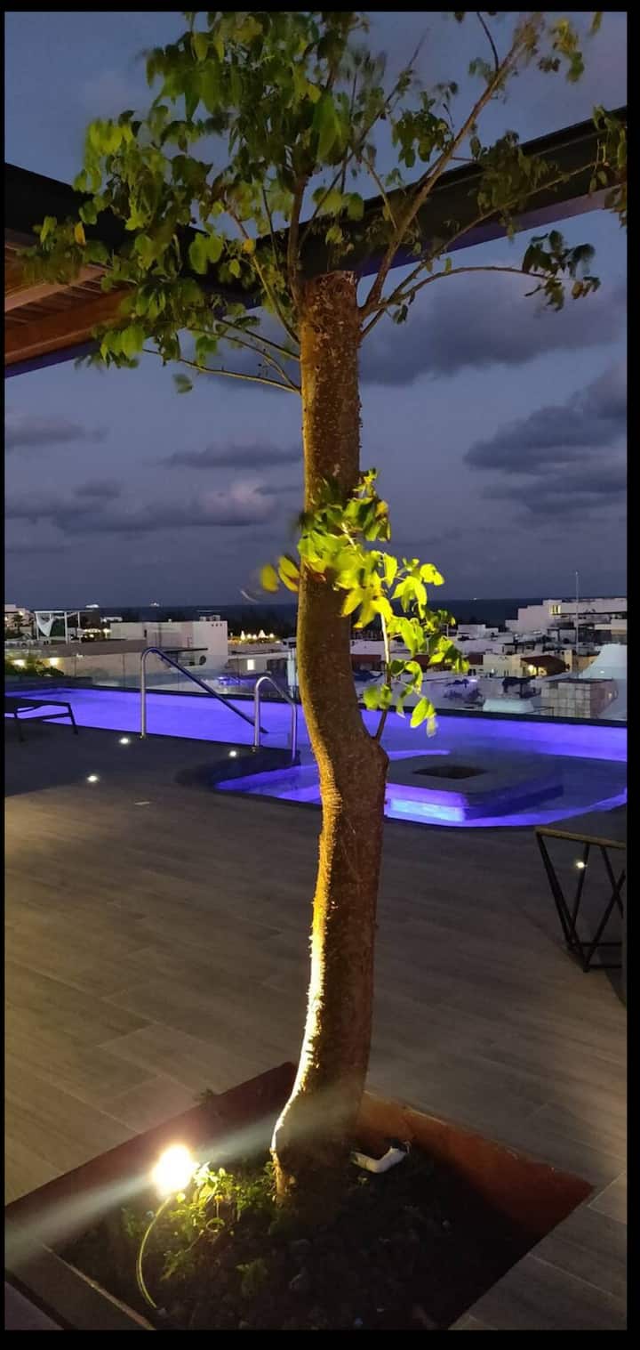 Luxury Studio In Celebrity Designed Building - Playa del Carmen