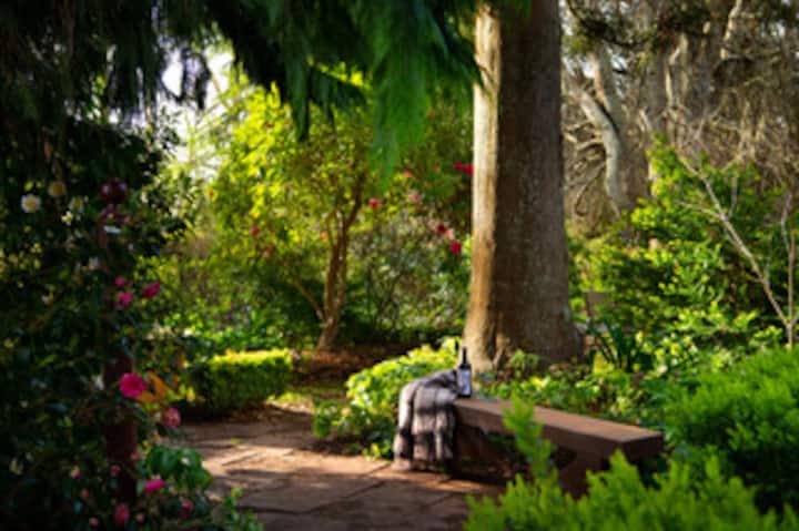 Moutan In Trentham - 트렌트햄