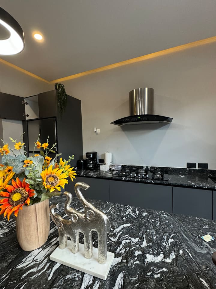 ”Casa Guillén ”, Amplia Casa Amueblada. - Piedras Negras