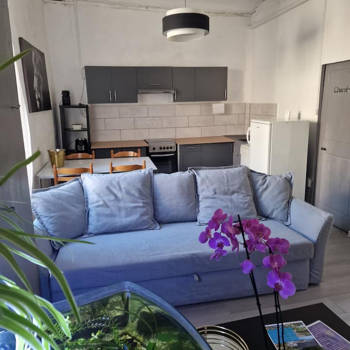 Superbe Appartement Au Cœur De La Vielle Ville - Saint-Ambroix
