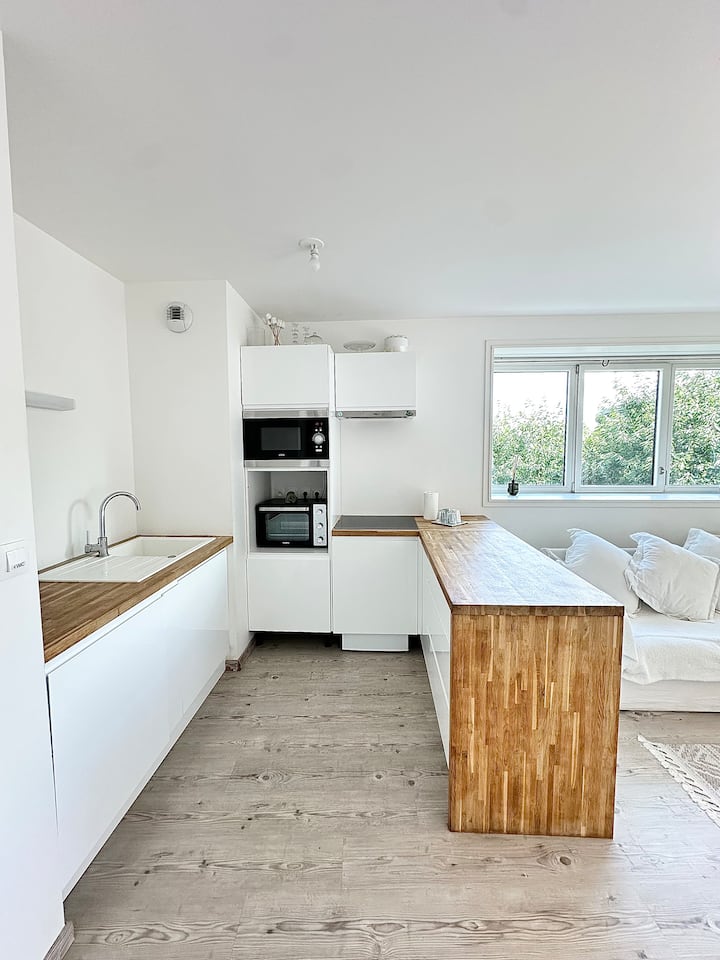 Magnifique Logement Près Des Gares De Lille - Lille
