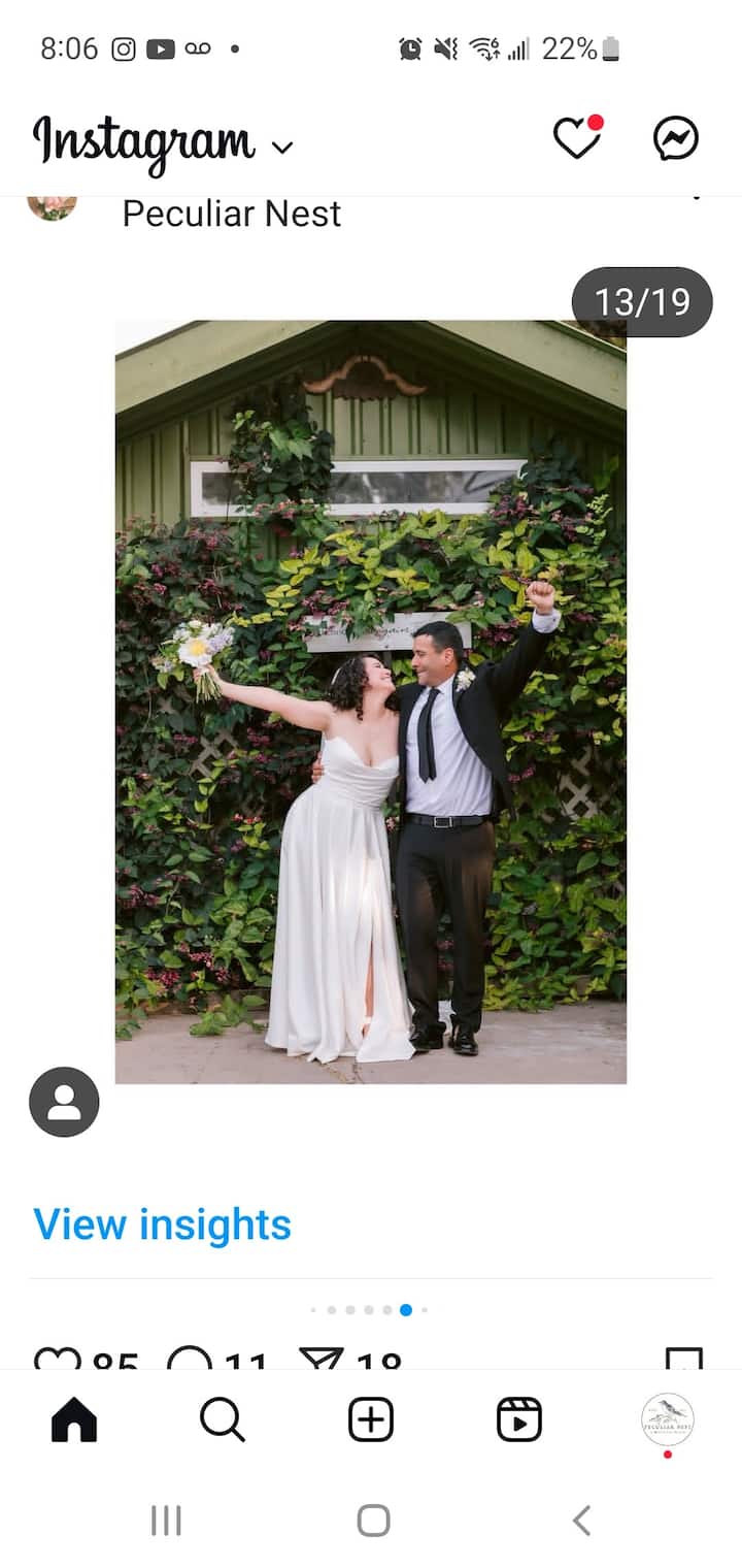 Peculiar Nest Daytime Small Event 11am-4pm - Mission, TX