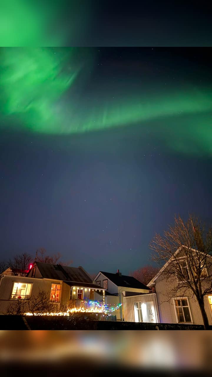 The Best Location In The Central /Downtown Area. - Reykjavik