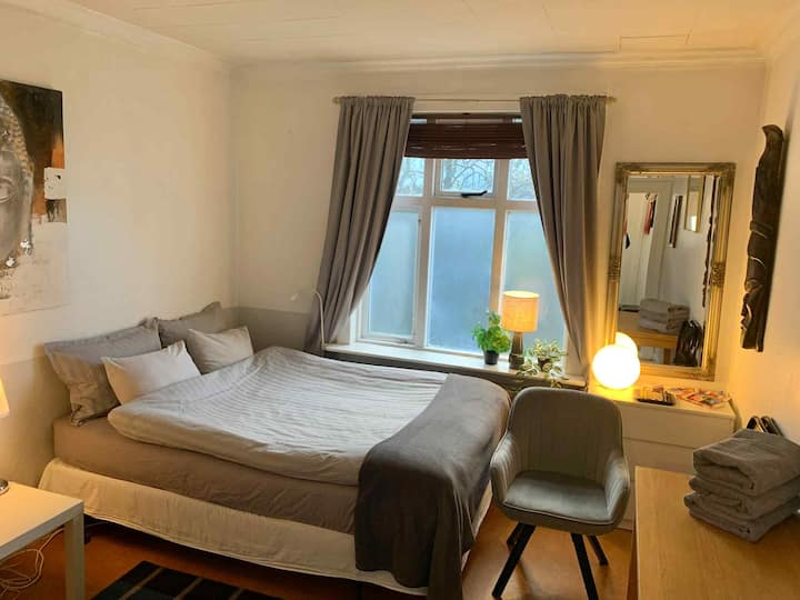 The Best Location In The Central /Downtown Area. - Reykjavík