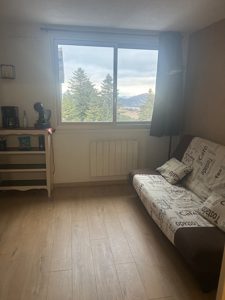 Superbe Studio Aux Pied Des Pistes. - Chabanon