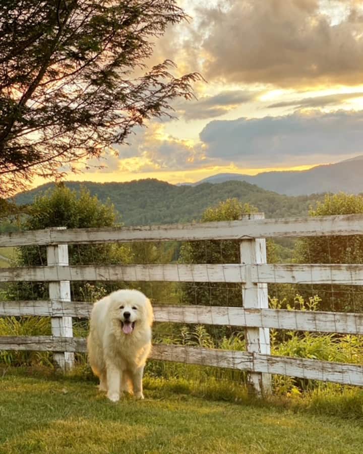 Spring Escape With Animals, Gardens & Sunset Views - Caroline du Nord