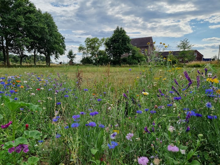 Space And A View At Michelshof Manor - Uedem