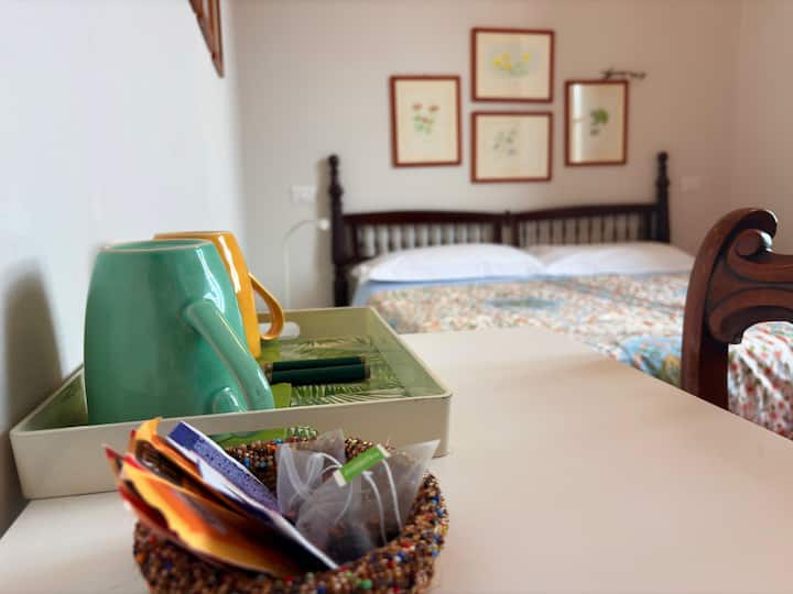 Camera Matrimoniale Con Ingresso E Bagno Privati. - Lucca