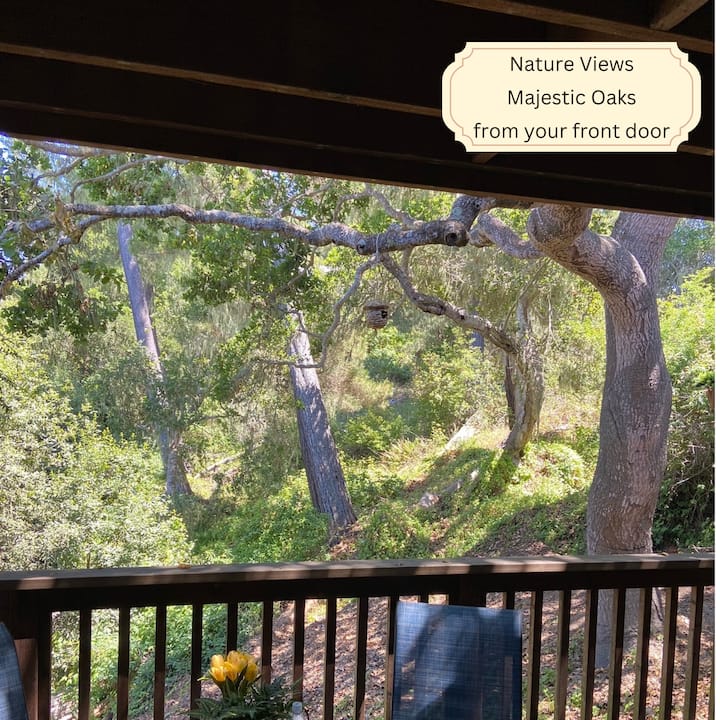 Cambria Treehouse W/ Nature & Trees View - Cambria, CA