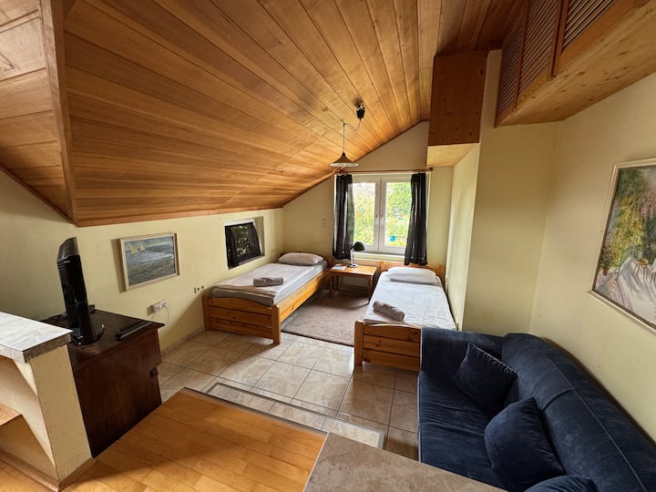 Großräumiges 2-zimmer Apartment Mit Küche Und Bad - Köln