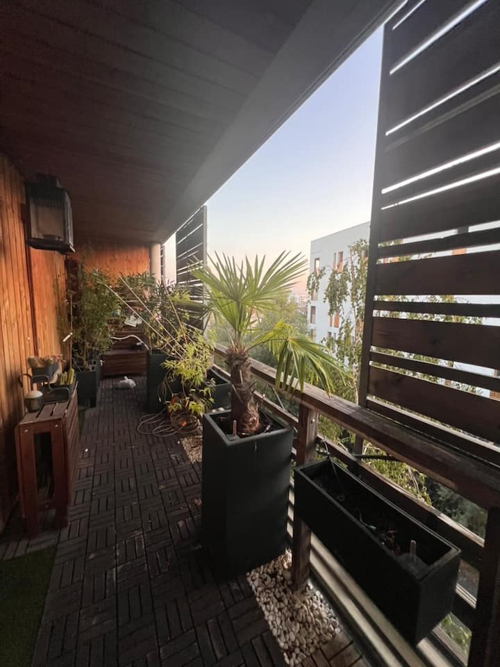 Begles : Superbe Appartement Au Pied Du Tramway - Bègles