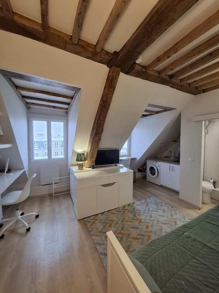 Marais • Dernier éTage, Ascenseur, Rosiers & Toits - Paris