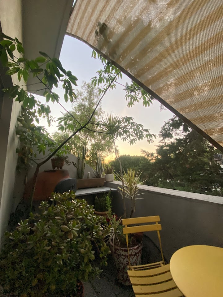 Penthouse En La Narvarte - Mexico