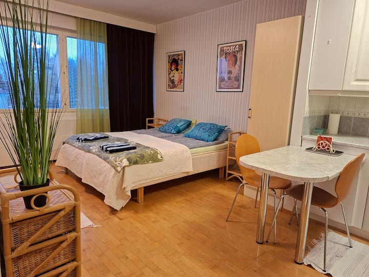 Keskustan Valoisa Yksiö + Liinavaatteet - Lieksa