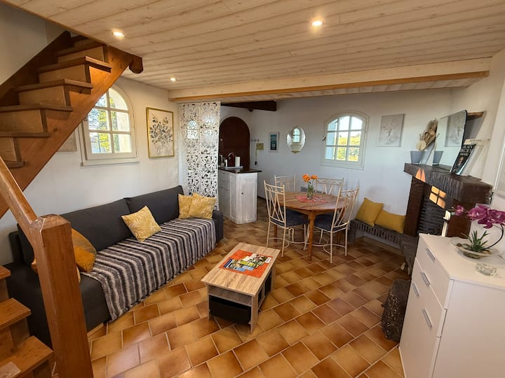 Charmante Petite Maison à Condom - Condom