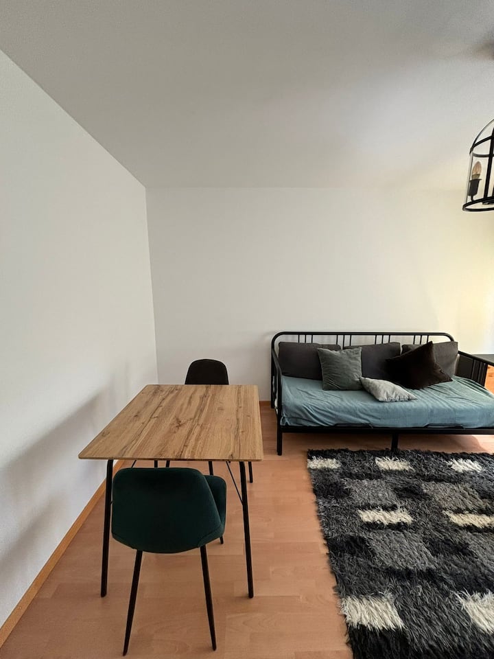 Nice, Cozy And Peaceful Flat Near The City Center - St. Gallen