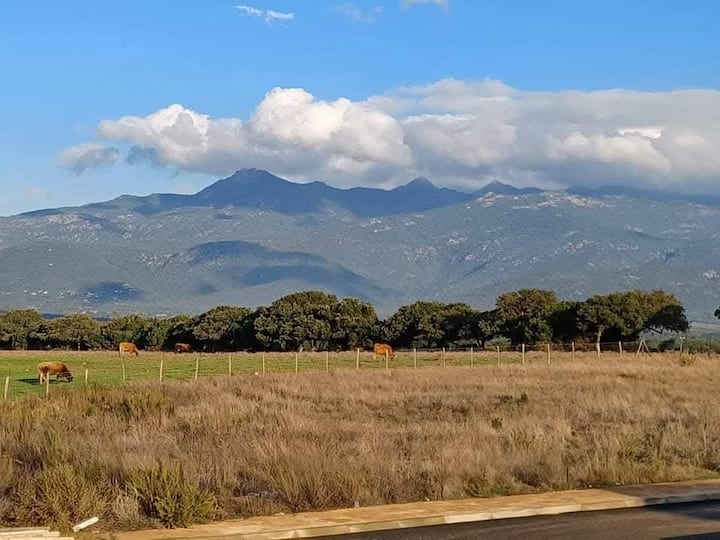 T1 Avec Mezzanine 2 Personnes - Figari