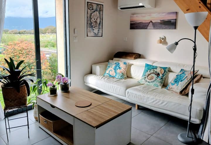T1 Avec Mezzanine 2 Personnes - Figari