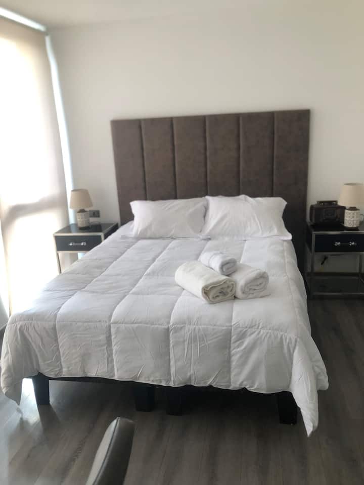 1 Departamento Tipo Studio En Barrio Yungay - Santiago, Chile