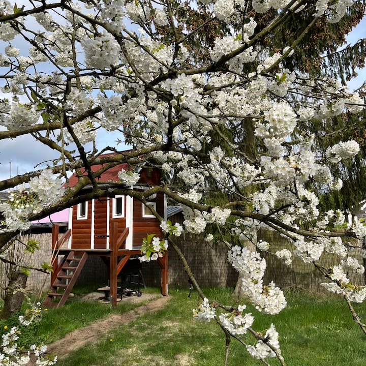 Unterkunft Tierhaarfrei - Rheinsberg