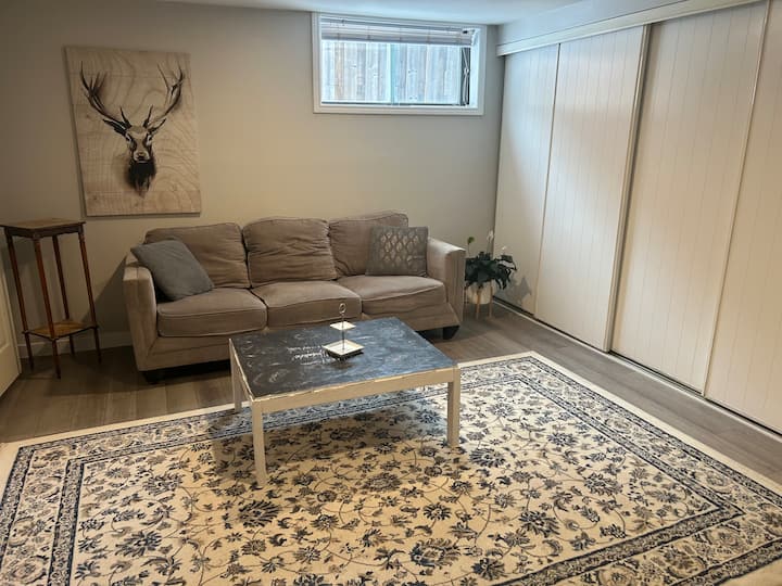 Lovely 1-bedroom Rental Unit In Markham - Toronto, ON