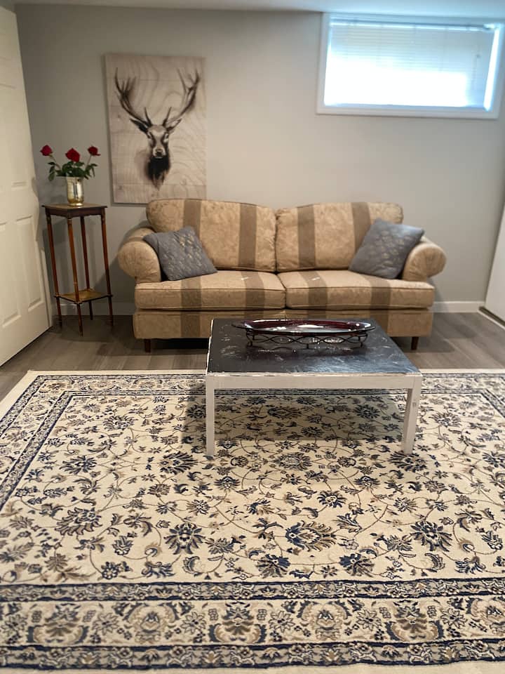 Lovely 1-bedroom Rental Unit In Markham - Markham