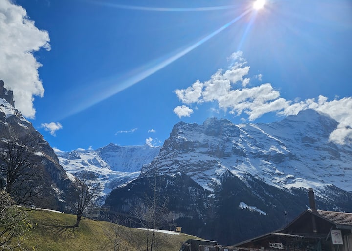Bodmi Bliss - Grindelwald