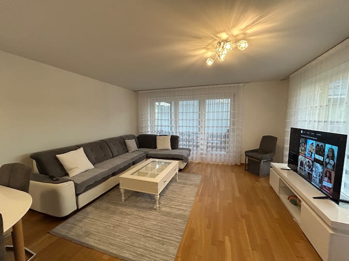 Entire Flat Close To Lake Lucerne/lion Monument - Lucerne