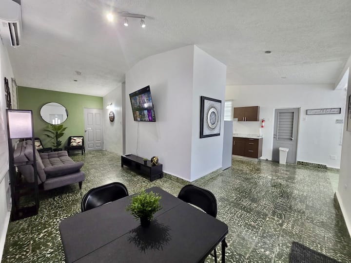 Entire House | Fits 4| Wifi | A/c | Gated Parking - Puerto Rico