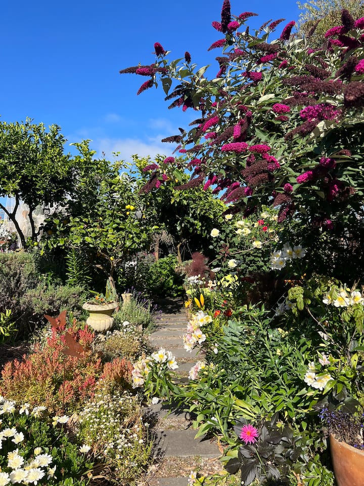 Piamaria At Cape Woolamai - Phillip Island